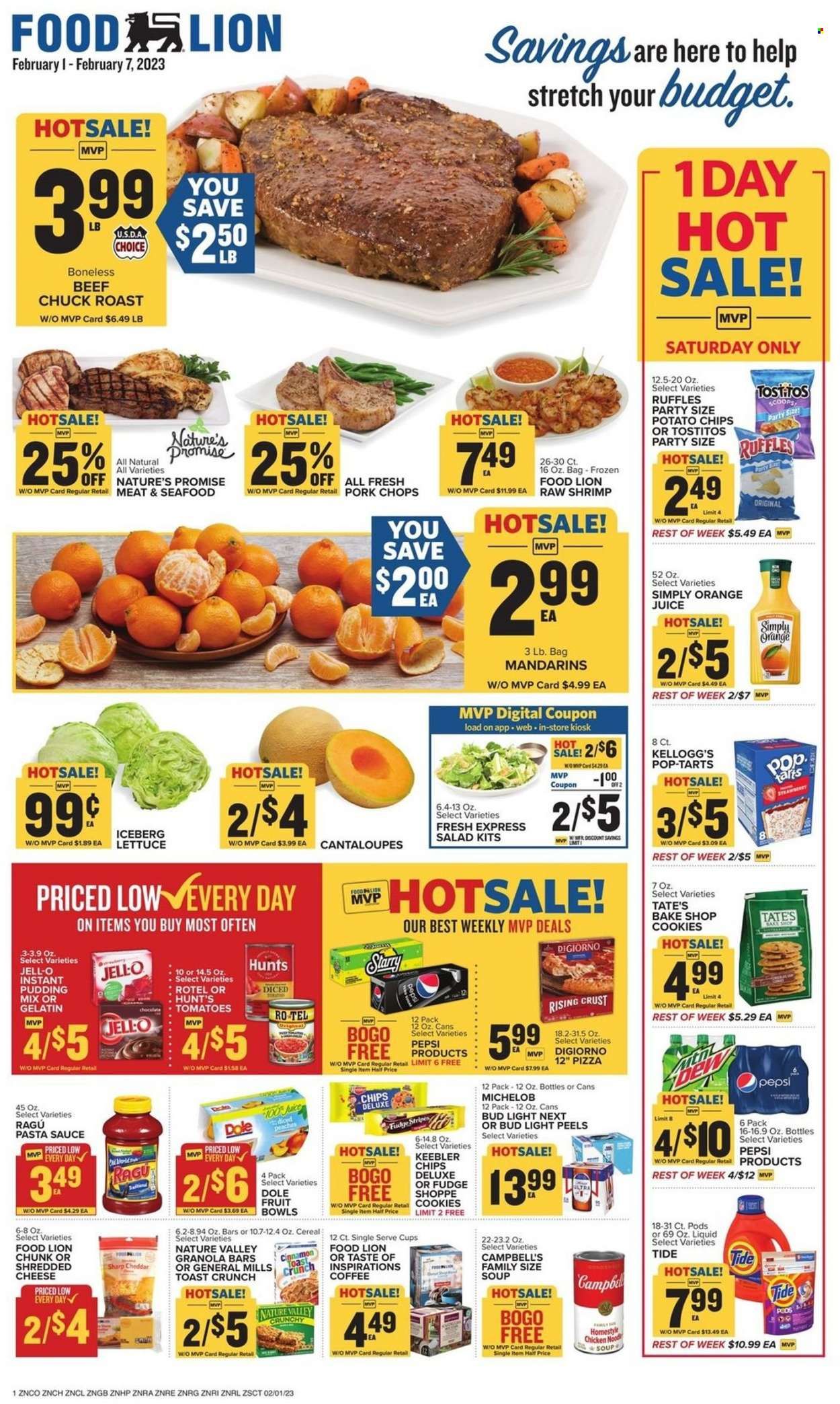 Food Lion Flyer